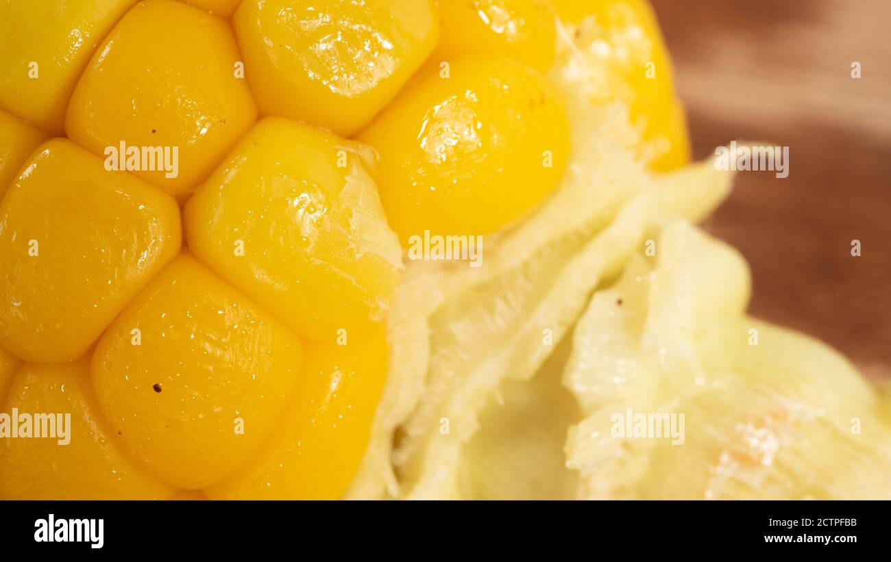 Delicious corn on the cob captured in an extreme close up. The brightly ...