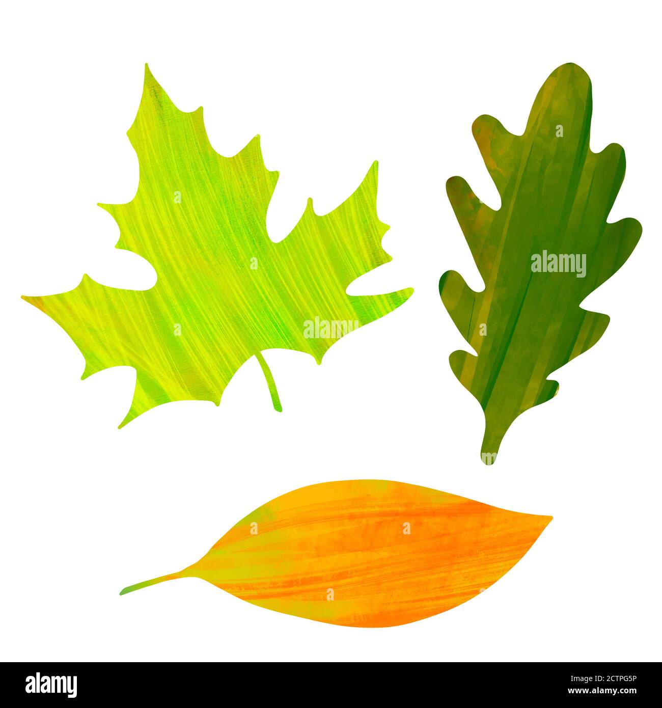 Watercolor drawing autumn colorful leaves isolated on white Stock Photo ...
