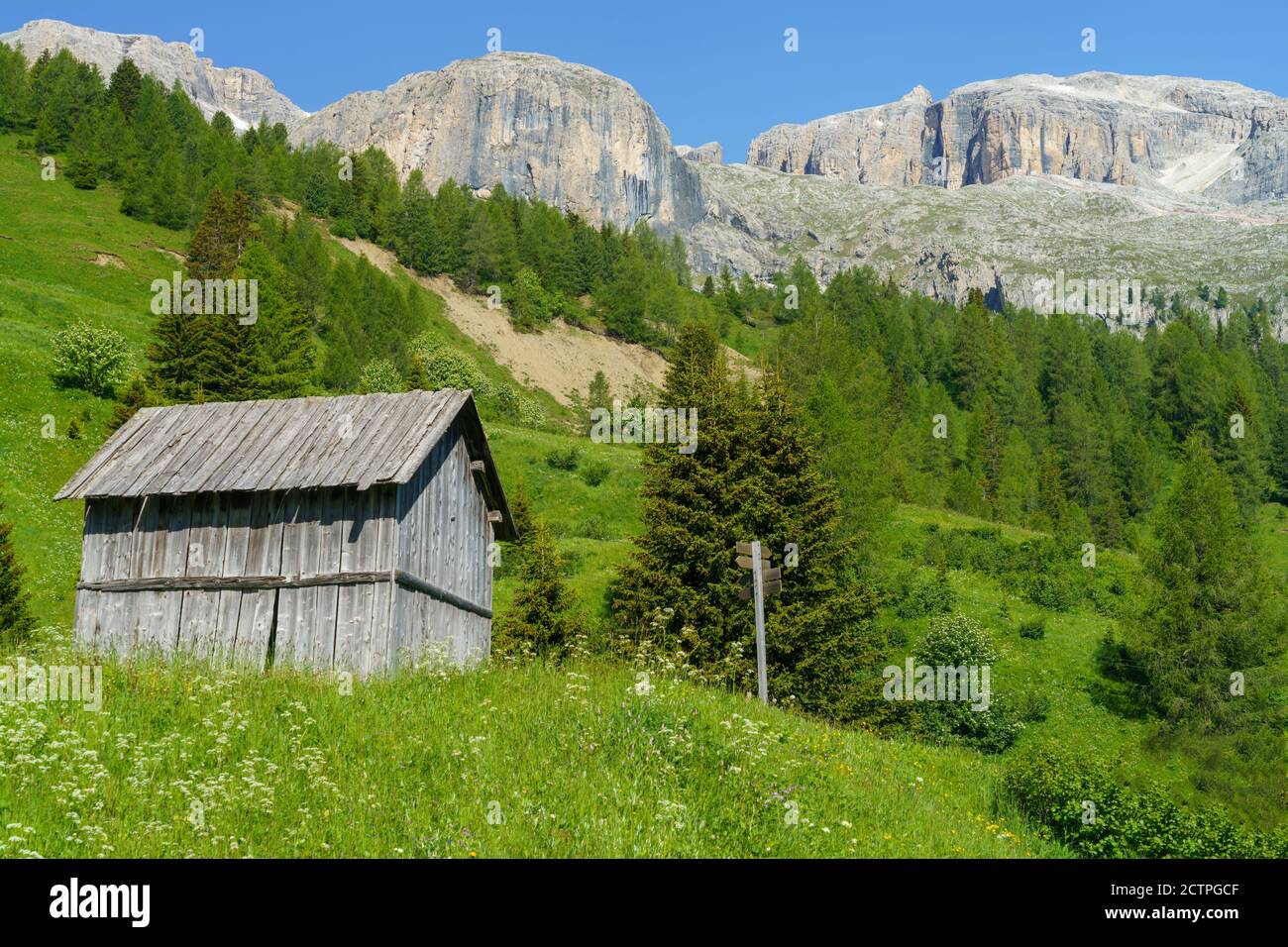 Mountain landscape at summer along the road to Campolongo pass ...