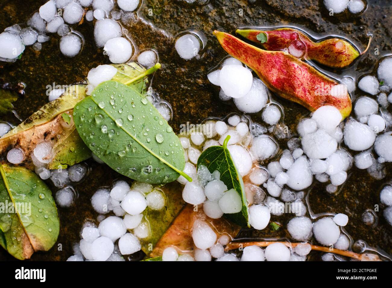 Hail on the ground hi-res stock photography and images - Alamy