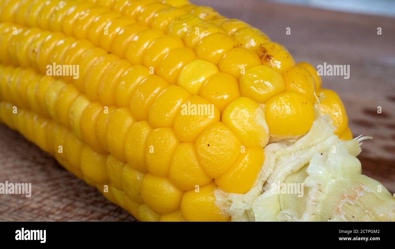 Delicious corn on the cob captured in an extreme close up. The brightly ...