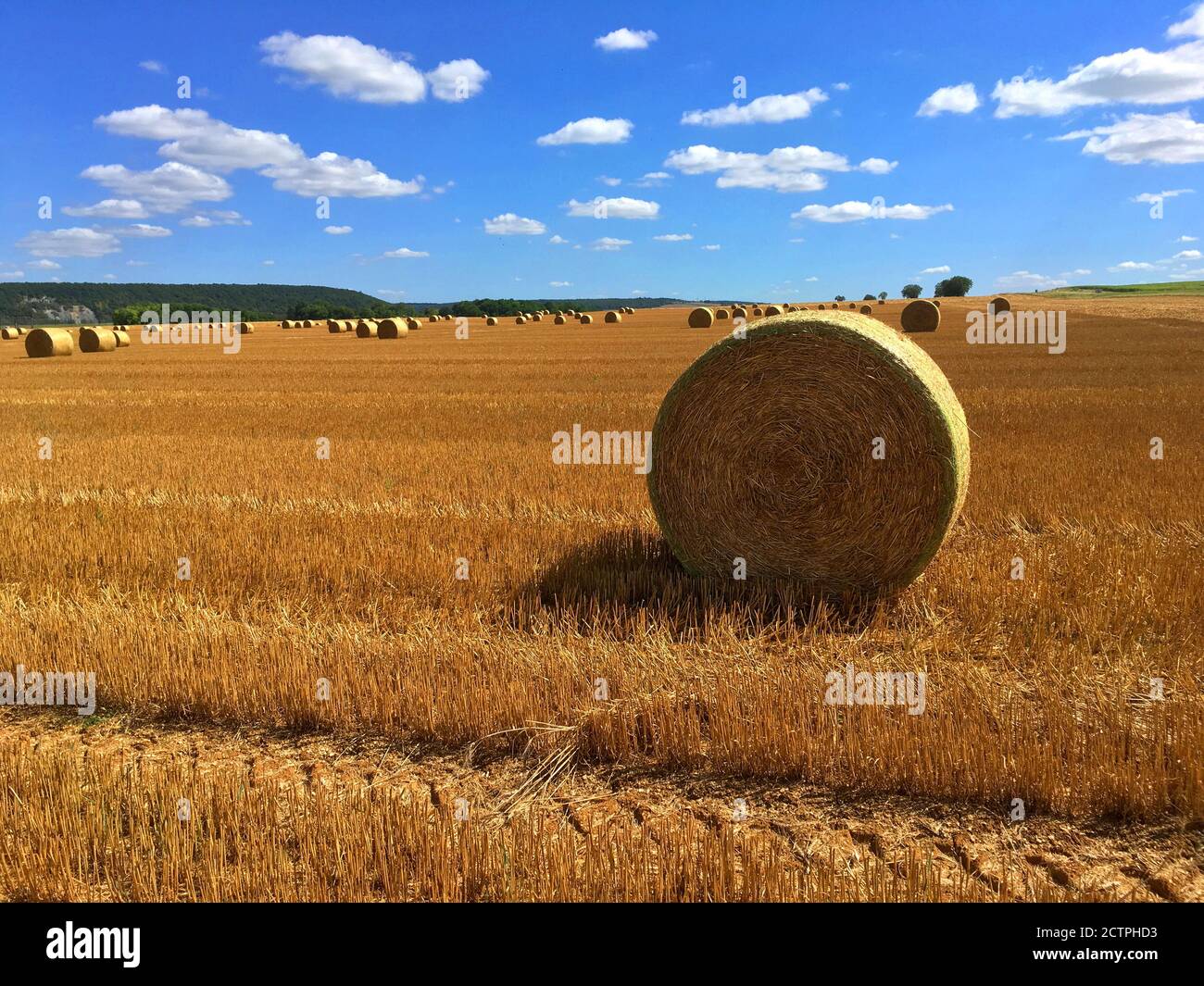 beautiful burgundy country landscape with haystacks on blue sky ...