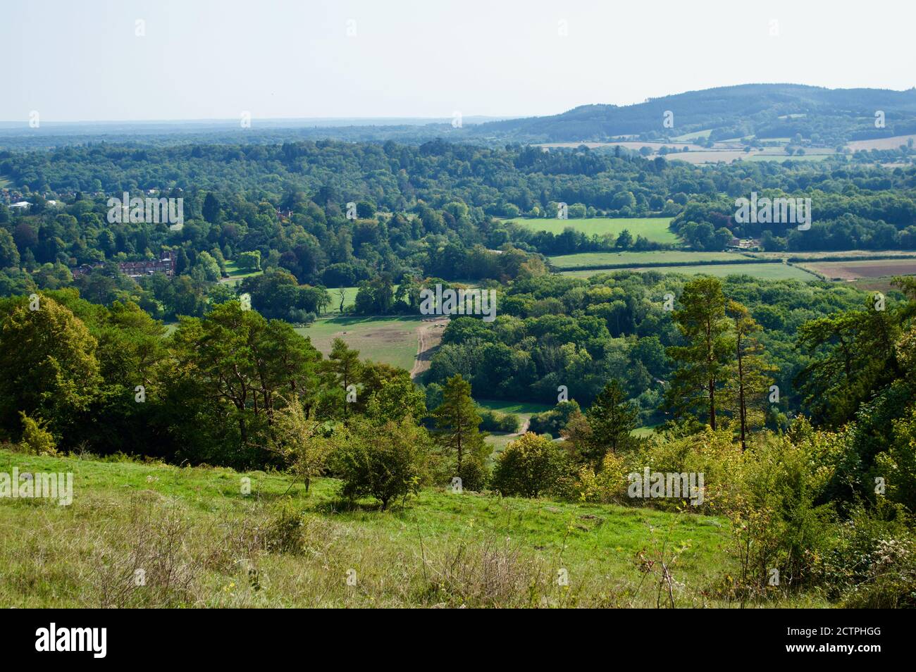 View of the Surrey countryside in the UK Stock Photo - Alamy