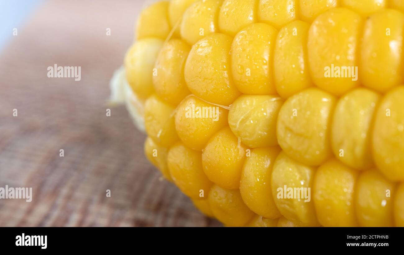 Delicious corn on the cob captured in an extreme close up. The brightly ...