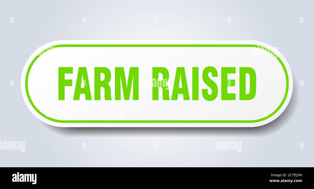 farm raised sign. rounded isolated sticker. white button Stock Vector ...