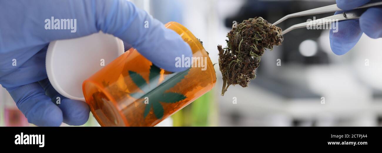 Herbal Marijuana High Resolution Stock Photography and Images - Alamy