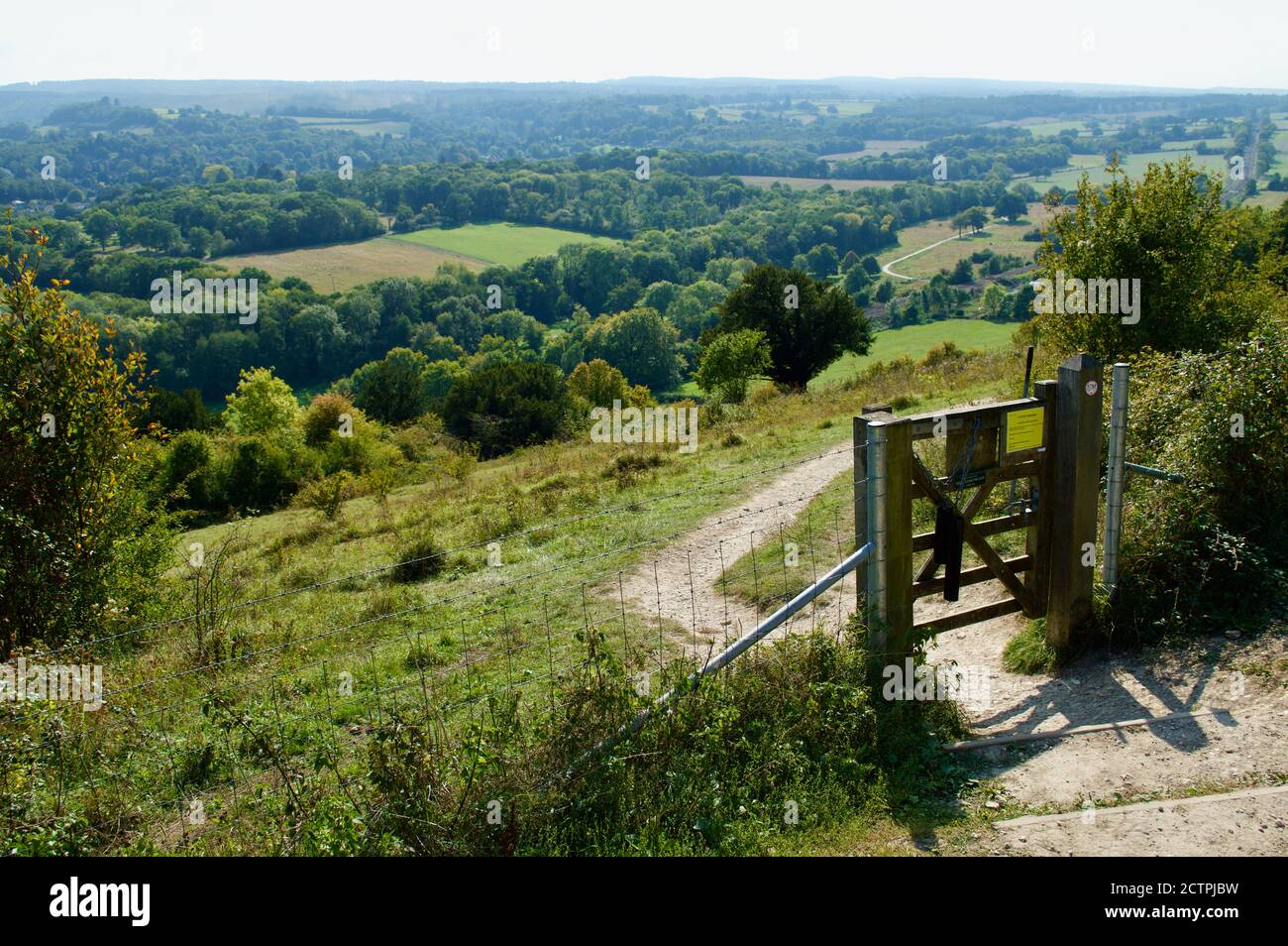 View of the Surrey countryside in the UK Stock Photo - Alamy