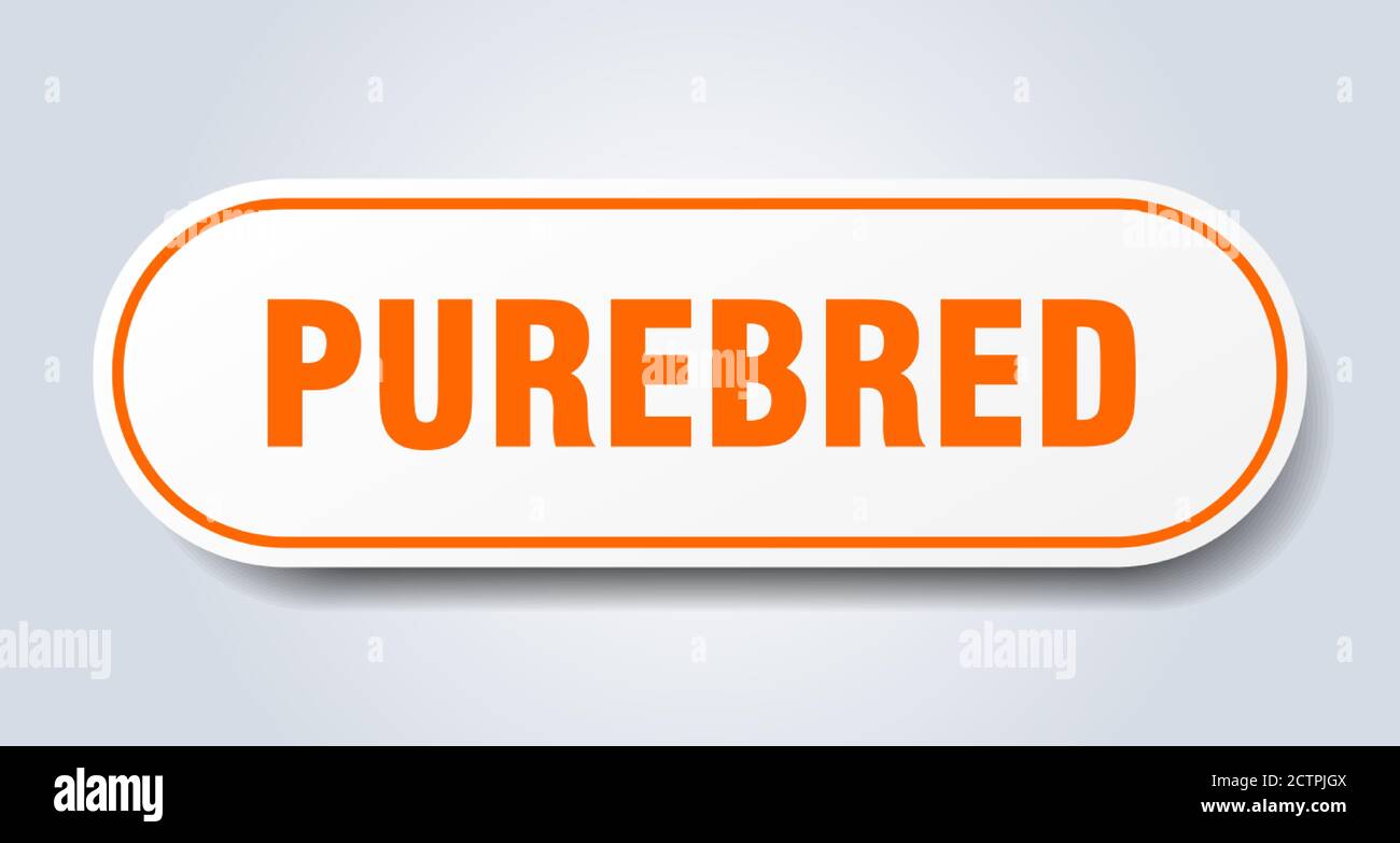 purebred sign. rounded isolated sticker. white button Stock Vector ...