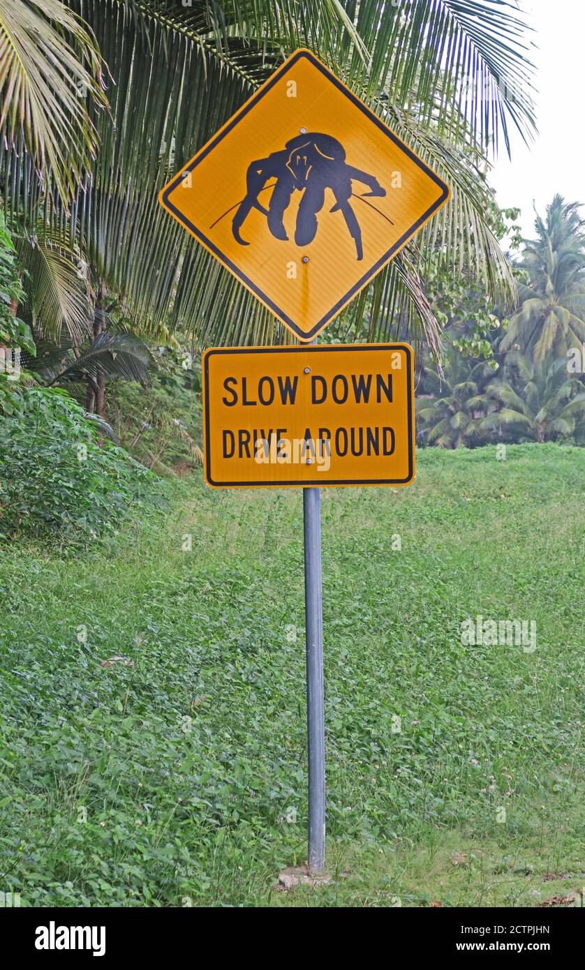 Sign warning of Robber Crabs on road Christmas Island, Australia July ...