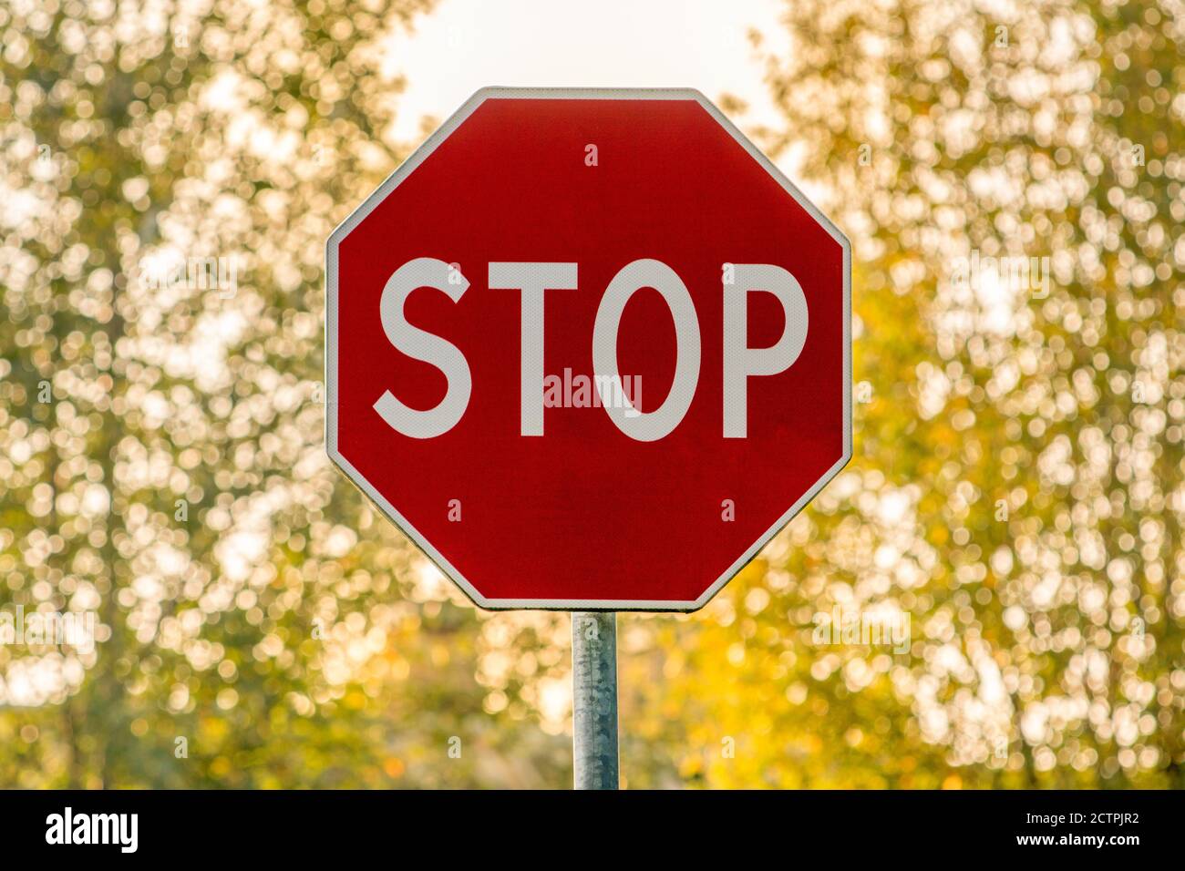A red stop sign on a nature background. Stop and give way Stock Photo ...