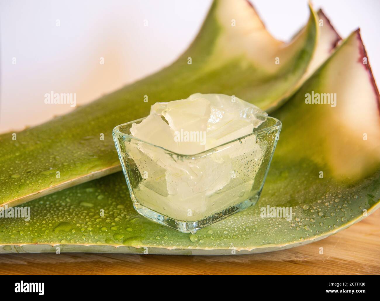 Aloe Vera fresh leaf Stock Photo - Alamy