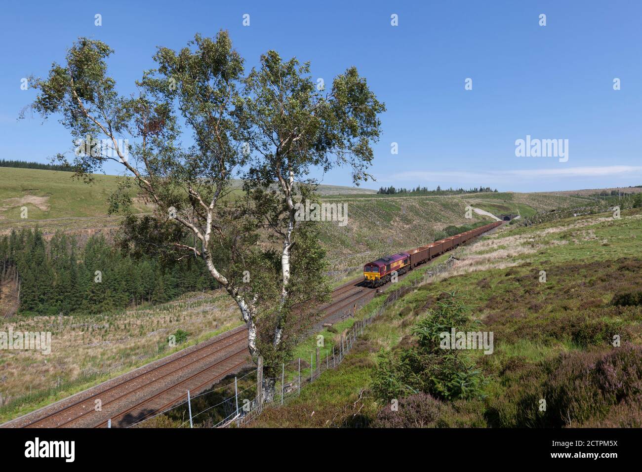 DB Cargo class 66 locomotive 66119 leaving the south portal of Rise ...