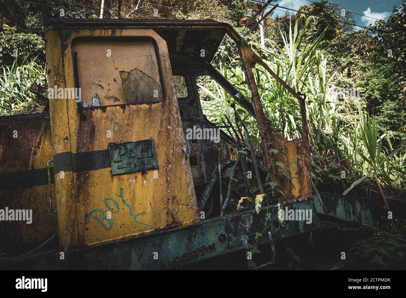 Inanam, Sabah, Malaysia: Mother Nature strikes back. An overgrown ...