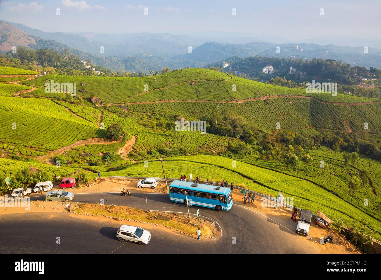 India, Kerala, Munnar, Road winding through Munnar tea estates Stock ...