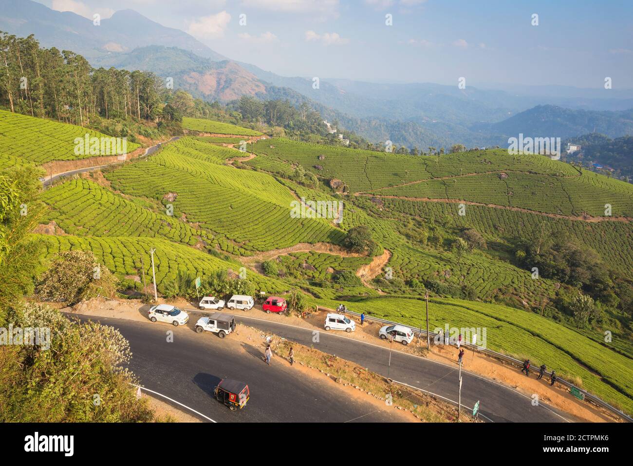 India, Kerala, Munnar, Road winding through Munnar tea estates Stock ...