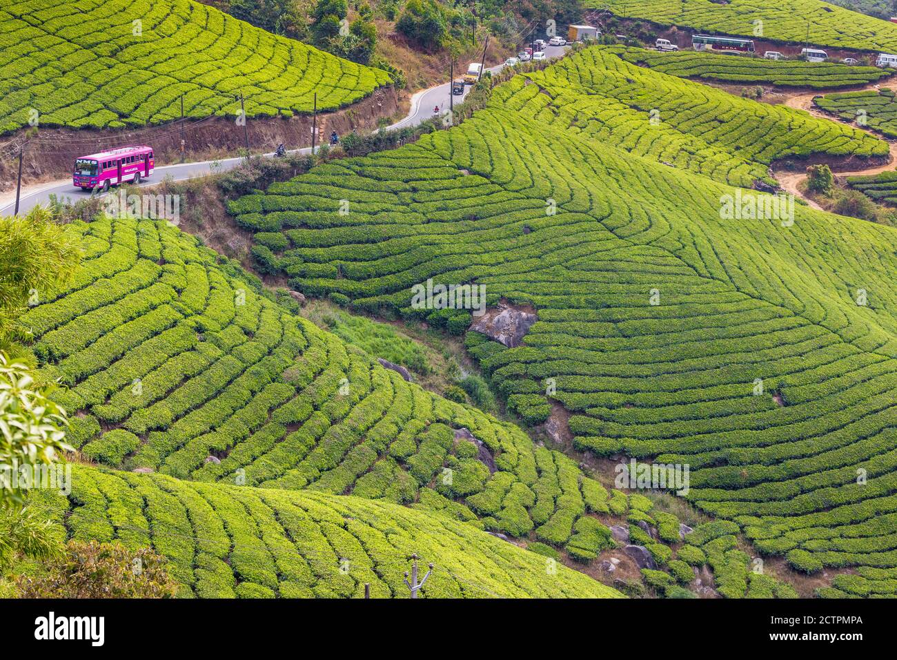 India, Kerala, Munnar, Road winding through Munnar tea estates Stock ...