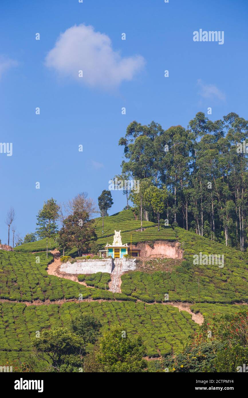 India, Kerala, Munnar, Amman Temple Stock Photo - Alamy