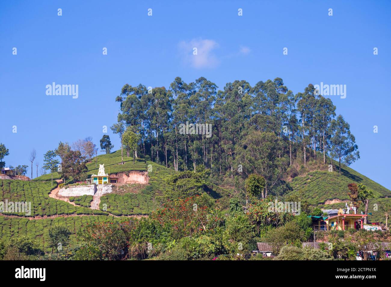 India, Kerala, Munnar, Amman Temple Stock Photo - Alamy