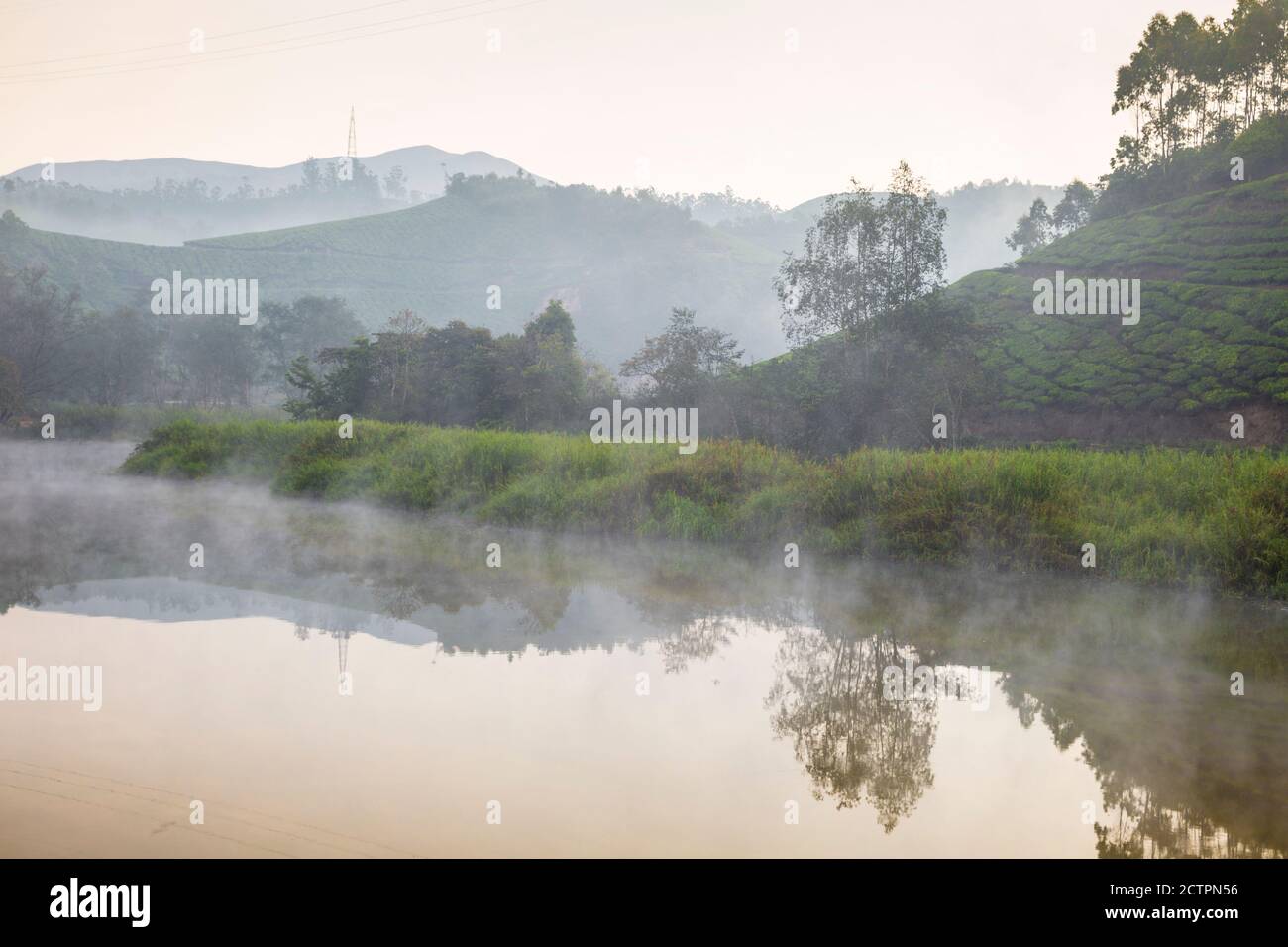 India, Kerala, Munnar, Early morning mist on Muthirappuzhayar River ...