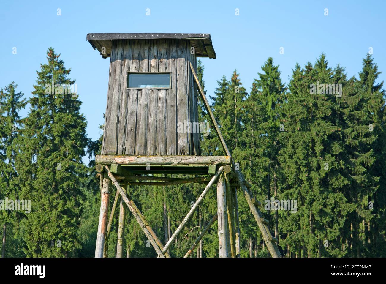 Wooden hunters stand hi-res stock photography and images - Alamy