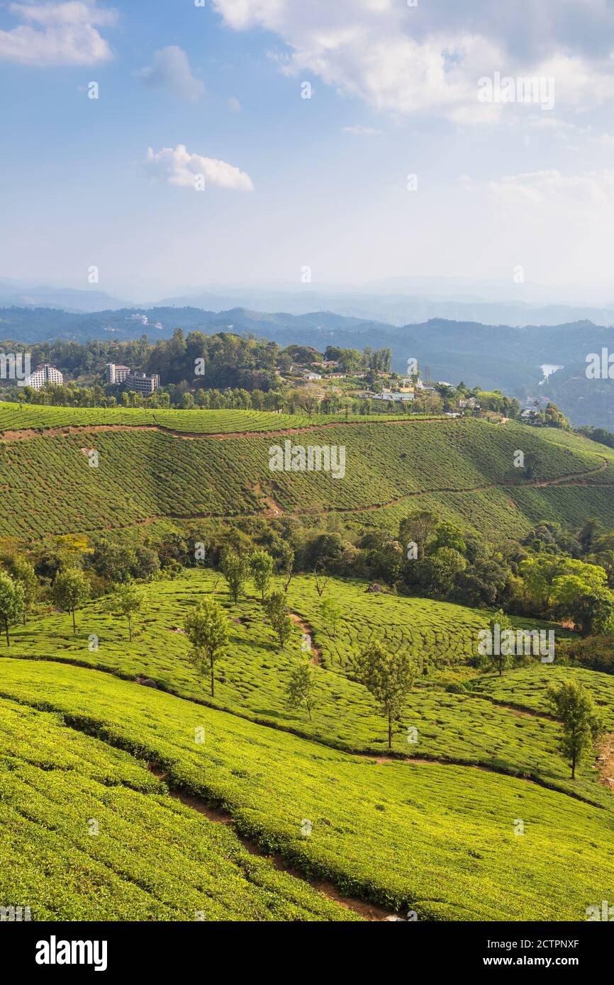 Munnar view hi-res stock photography and images - Alamy