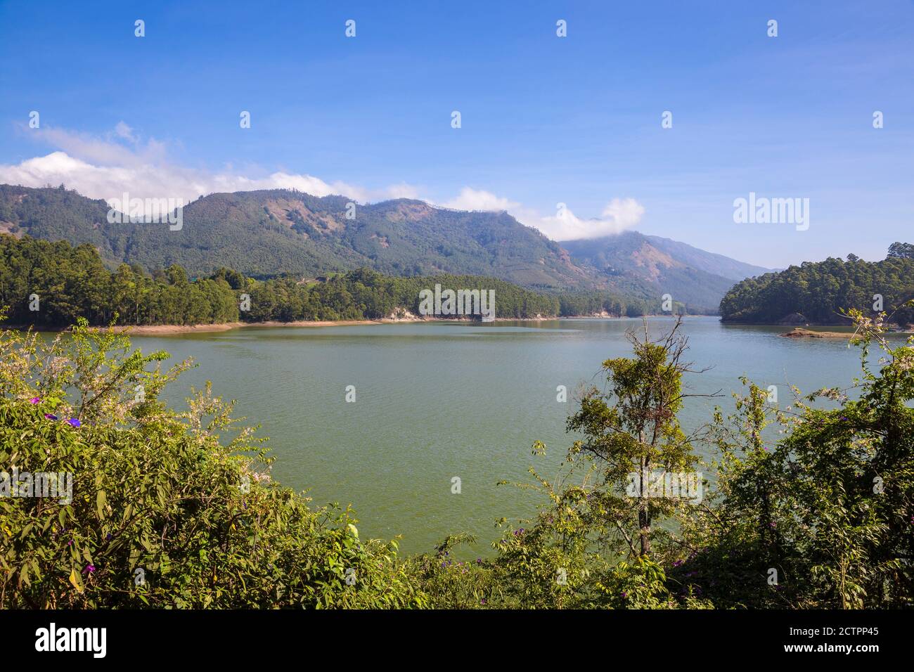 Tea plantation lake munnar hi-res stock photography and images - Alamy
