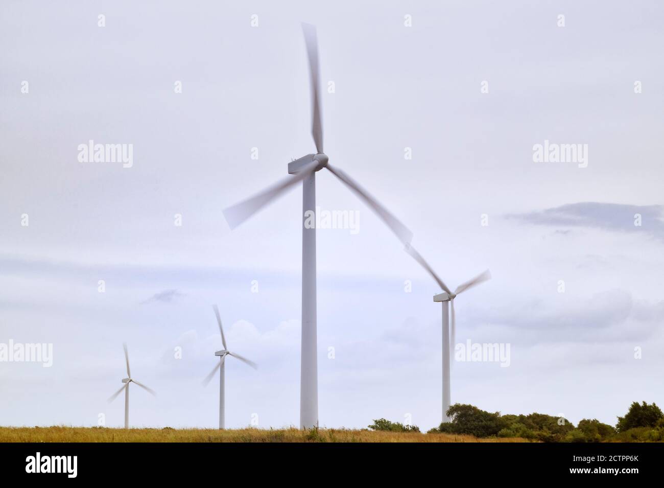Global green energy movement hi-res stock photography and images - Alamy