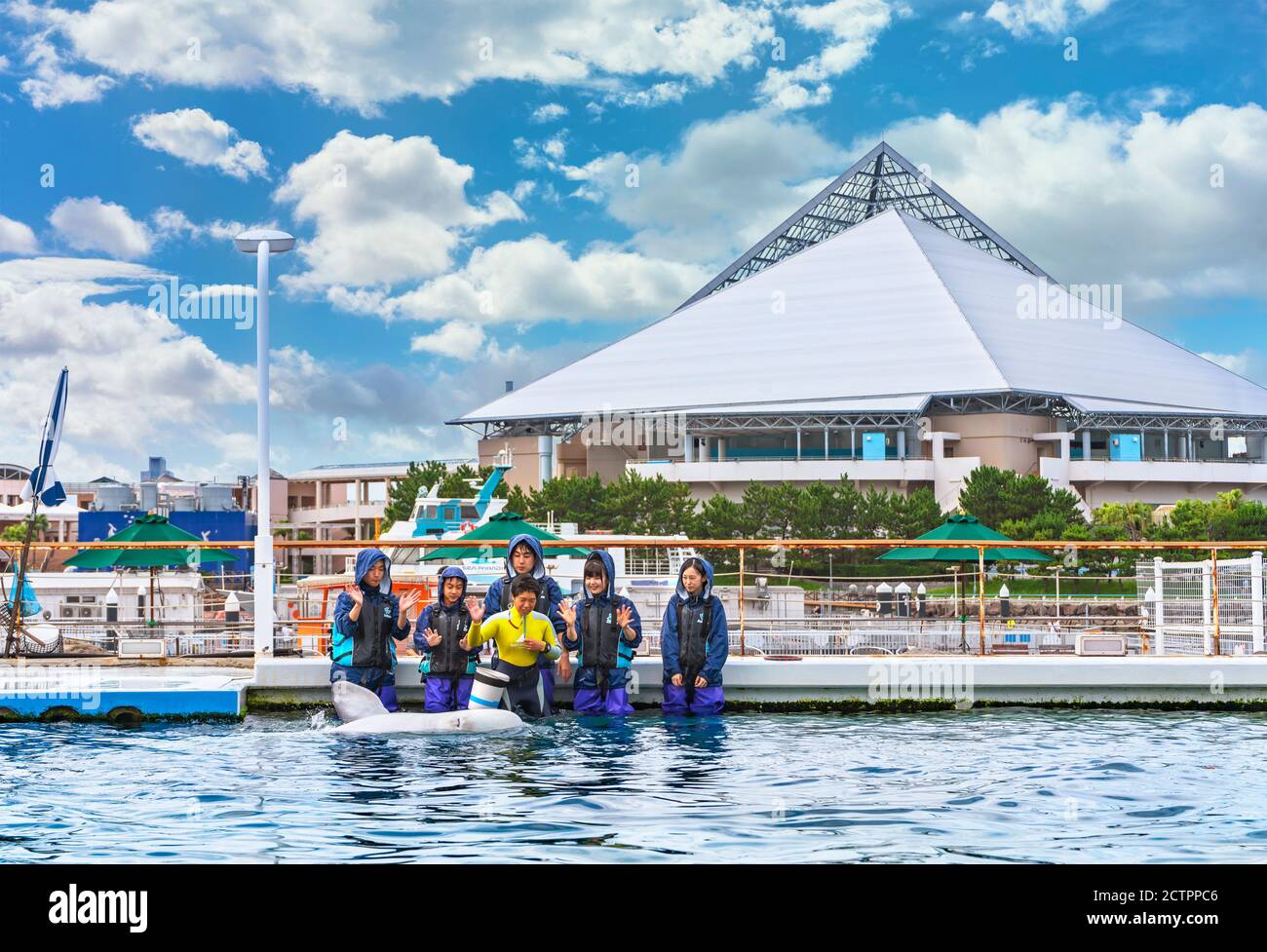 yokohama, japan - july 19 2020: Group of young people interacting with ...