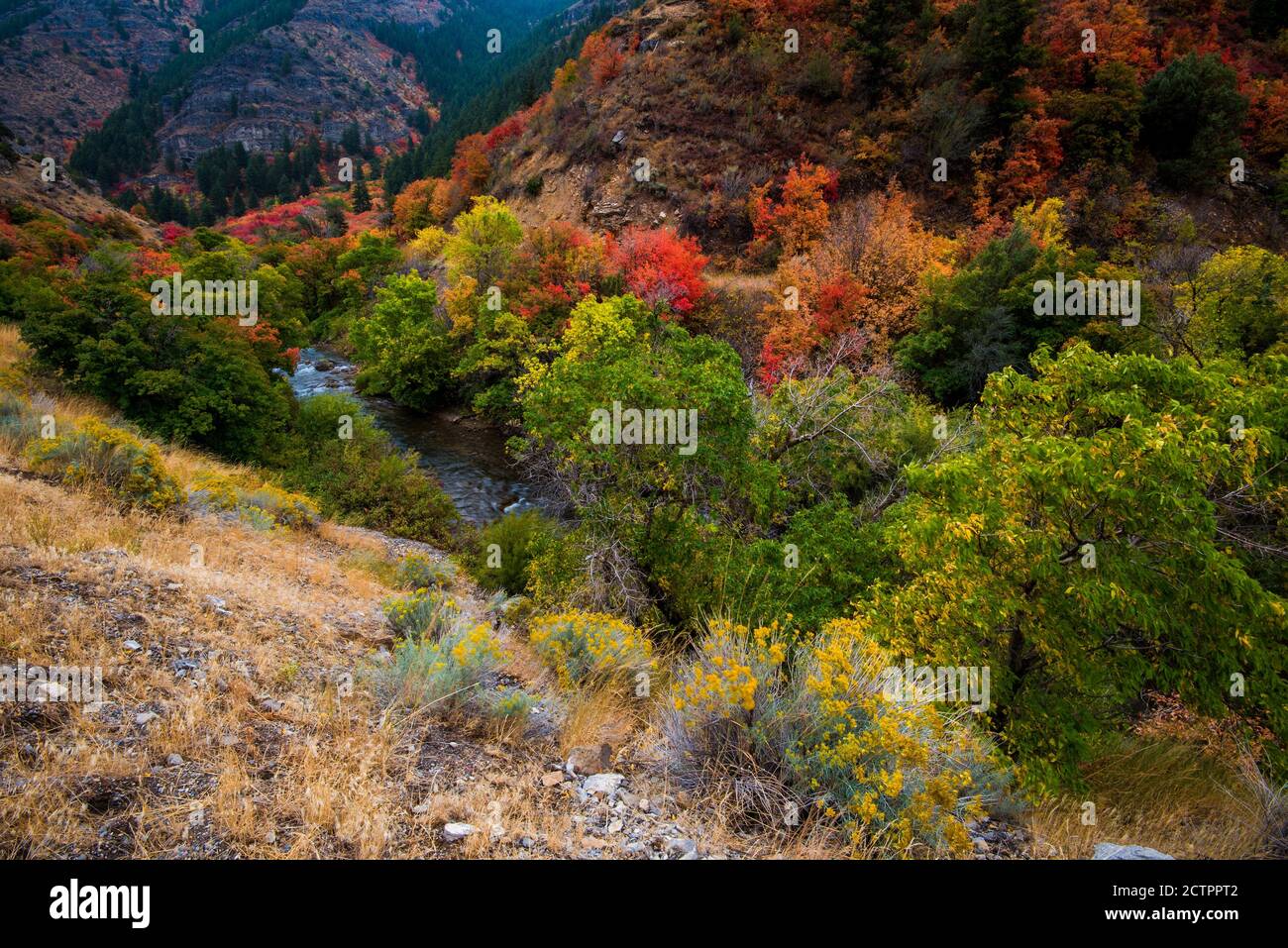 Autumn colors in northern Utah, USA. The rural town of Hyrum, Utah ...