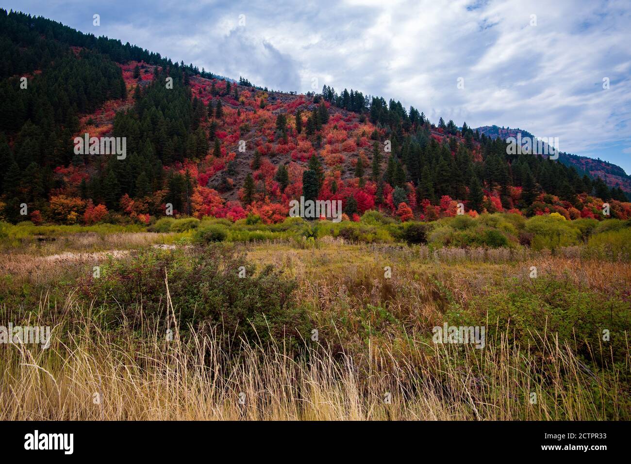 Autumn colors in northern Utah, USA. The rural town of Hyrum, Utah ...