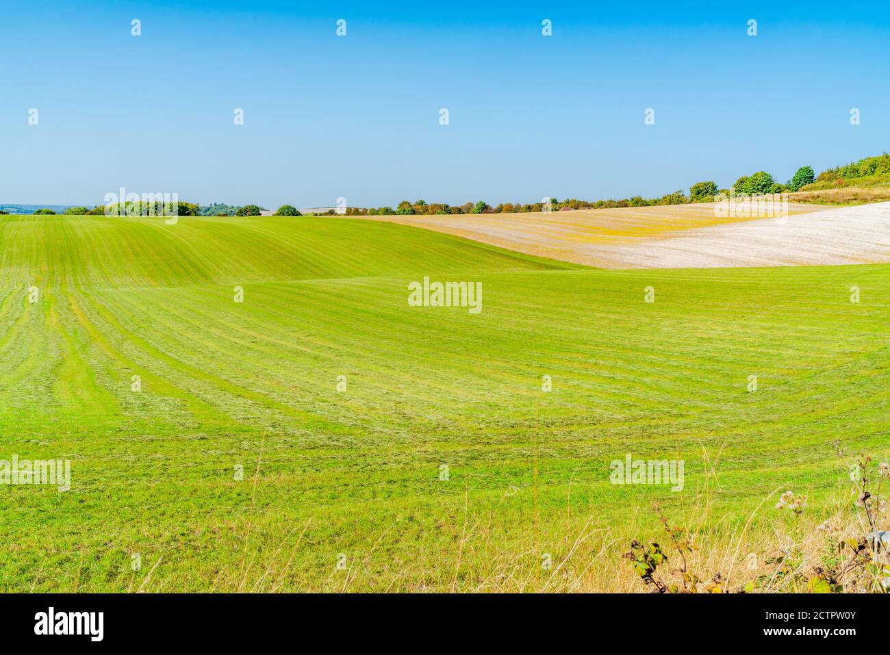 Chiltern conservation area hi-res stock photography and images - Alamy