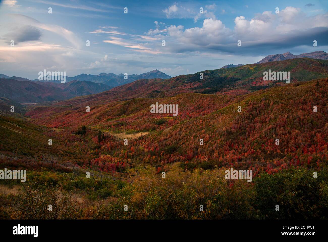 Autumn colors of the famous Alpine Loop in American Fork Canyon, Utah ...