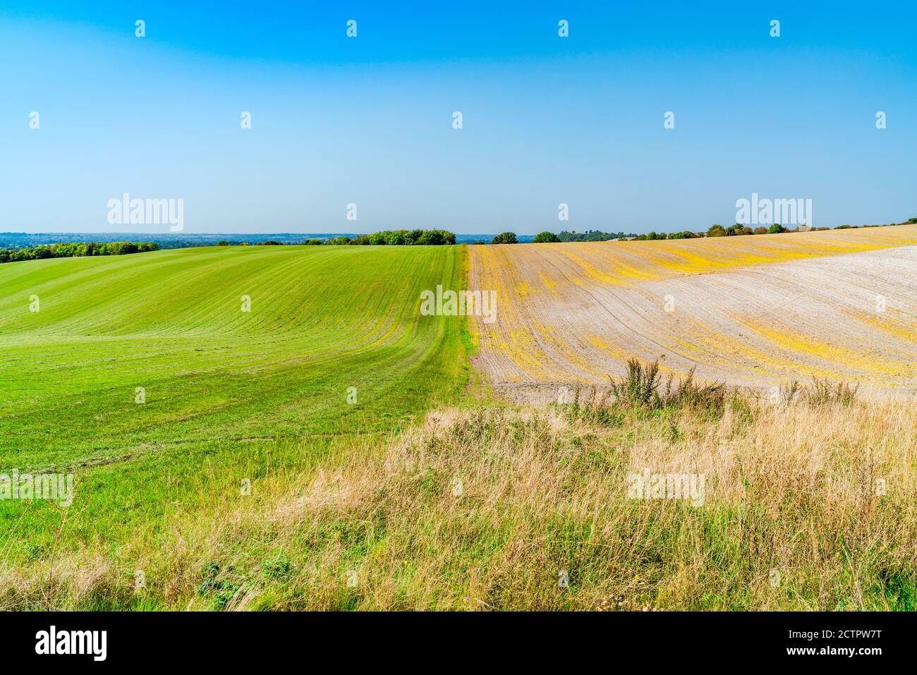 Chiltern conservation area hi-res stock photography and images - Alamy