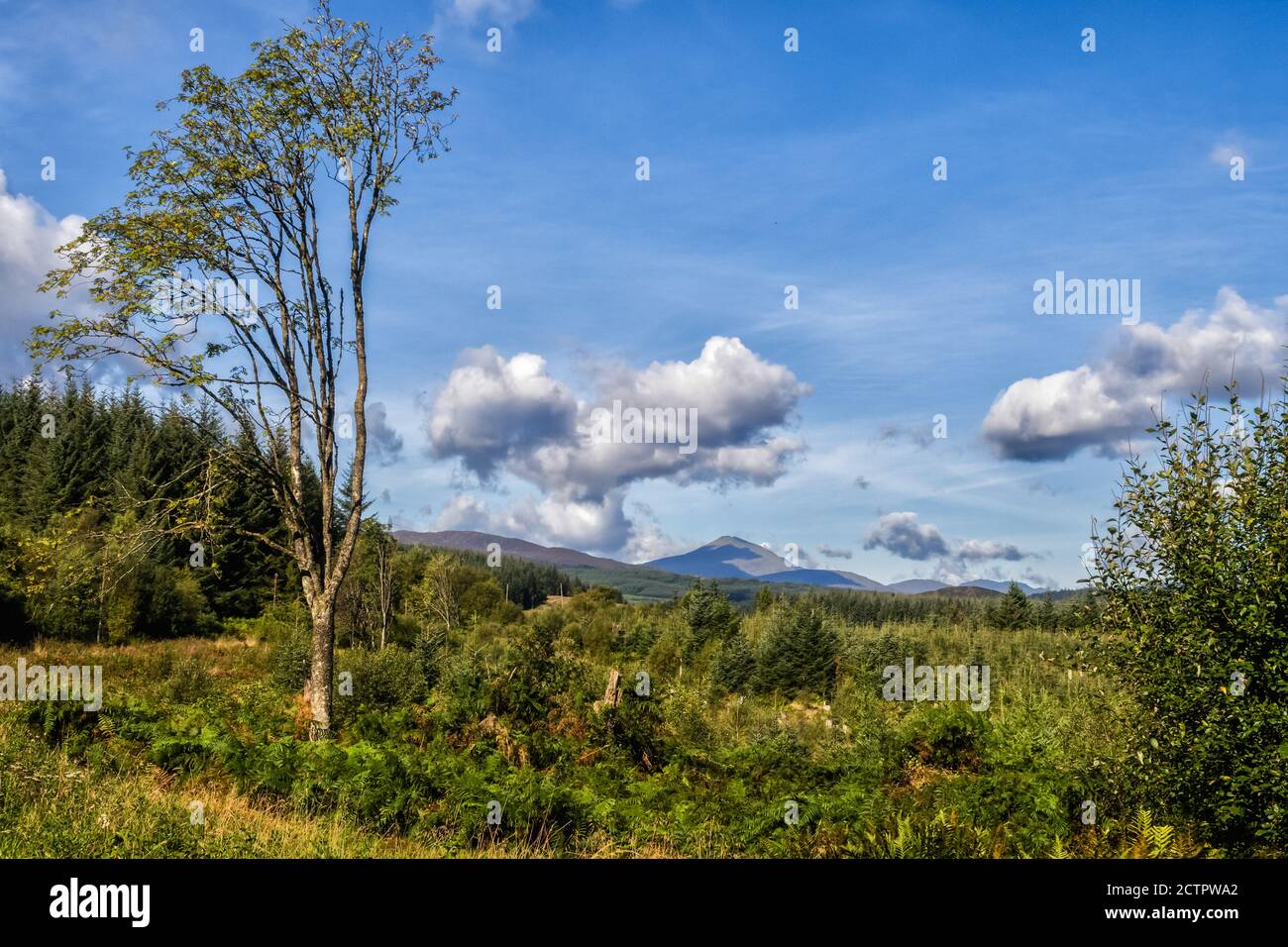 Rob roy way hi-res stock photography and images - Alamy