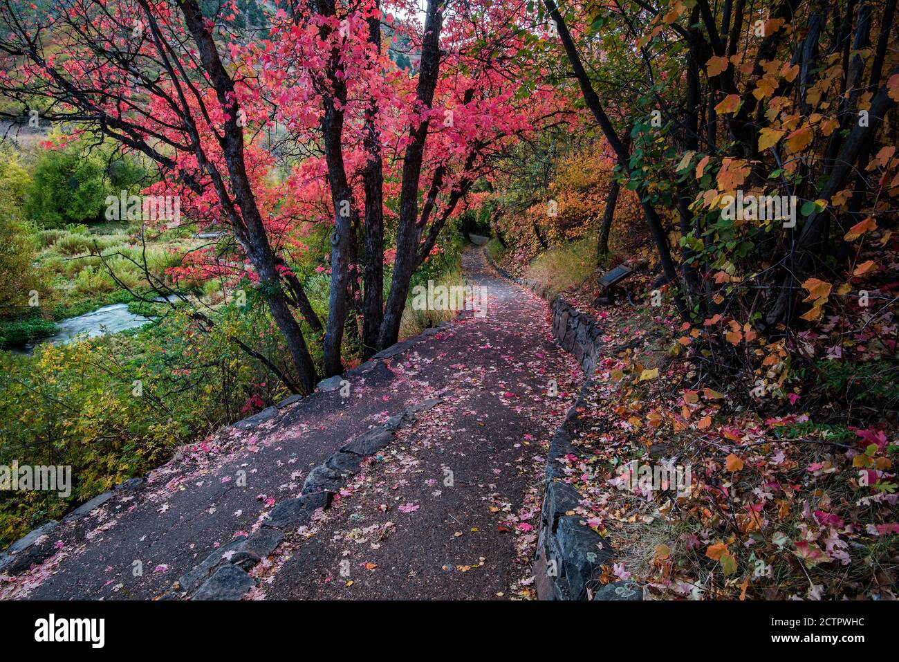 Cascade Springs is a secluded spot in the Wasatch Mtns. of Utah, USA. A ...
