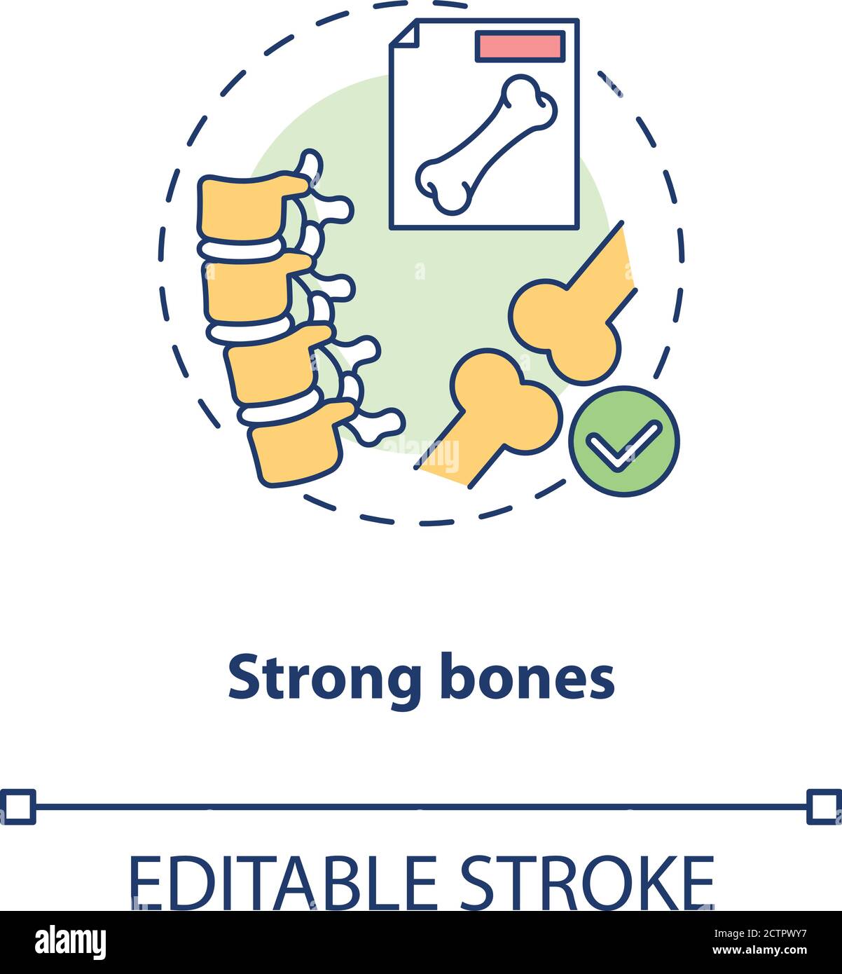 Strong bones concept icon Stock Vector Image & Art - Alamy