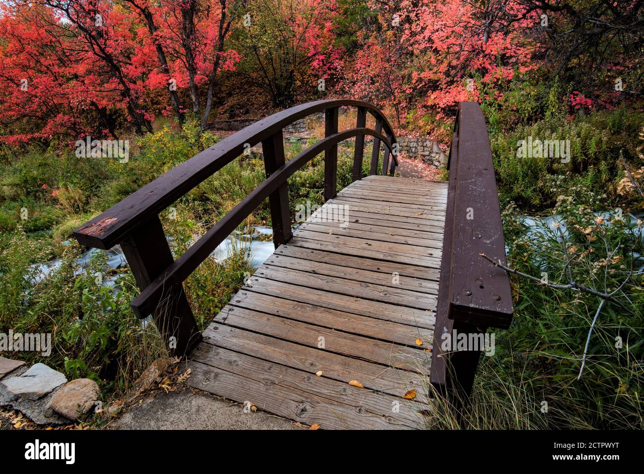 Cascade Springs is a secluded spot in the Wasatch Mtns. of Utah, USA. A ...