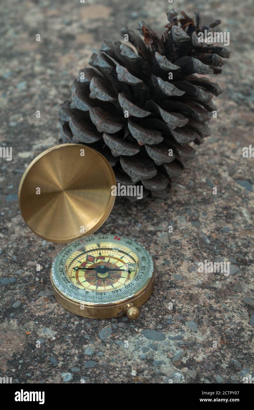 a fir cone and a gold compass with an open lid Stock Photo - Alamy