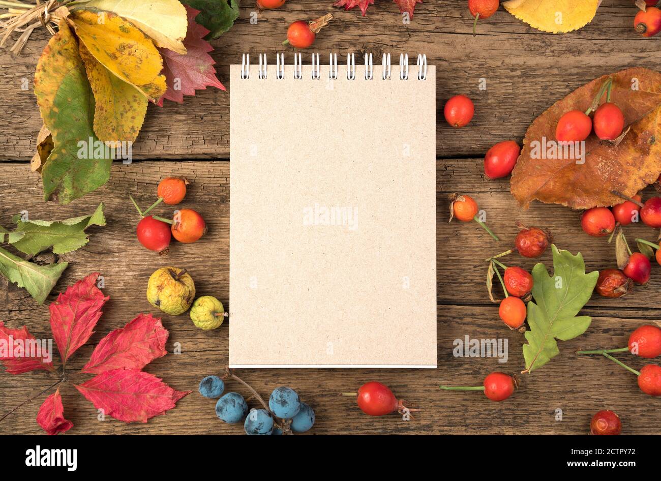 Autumn layout of Notepad, berries and leaves on a natural wooden ...