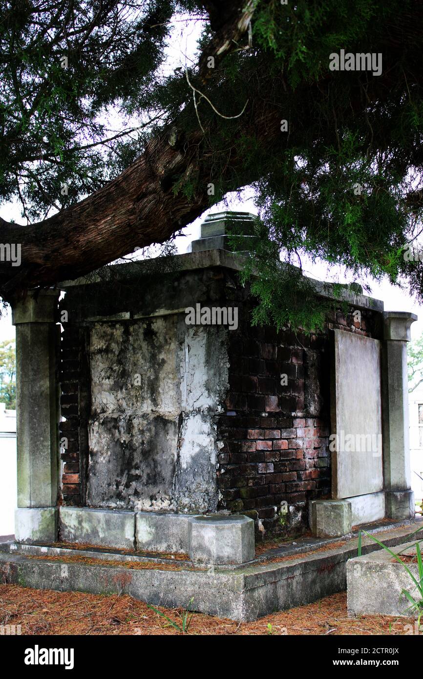 Beneath shady tree hi-res stock photography and images - Alamy