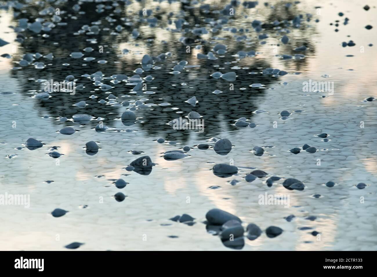 White pebble stones in water with reflections Stock Photo - Alamy