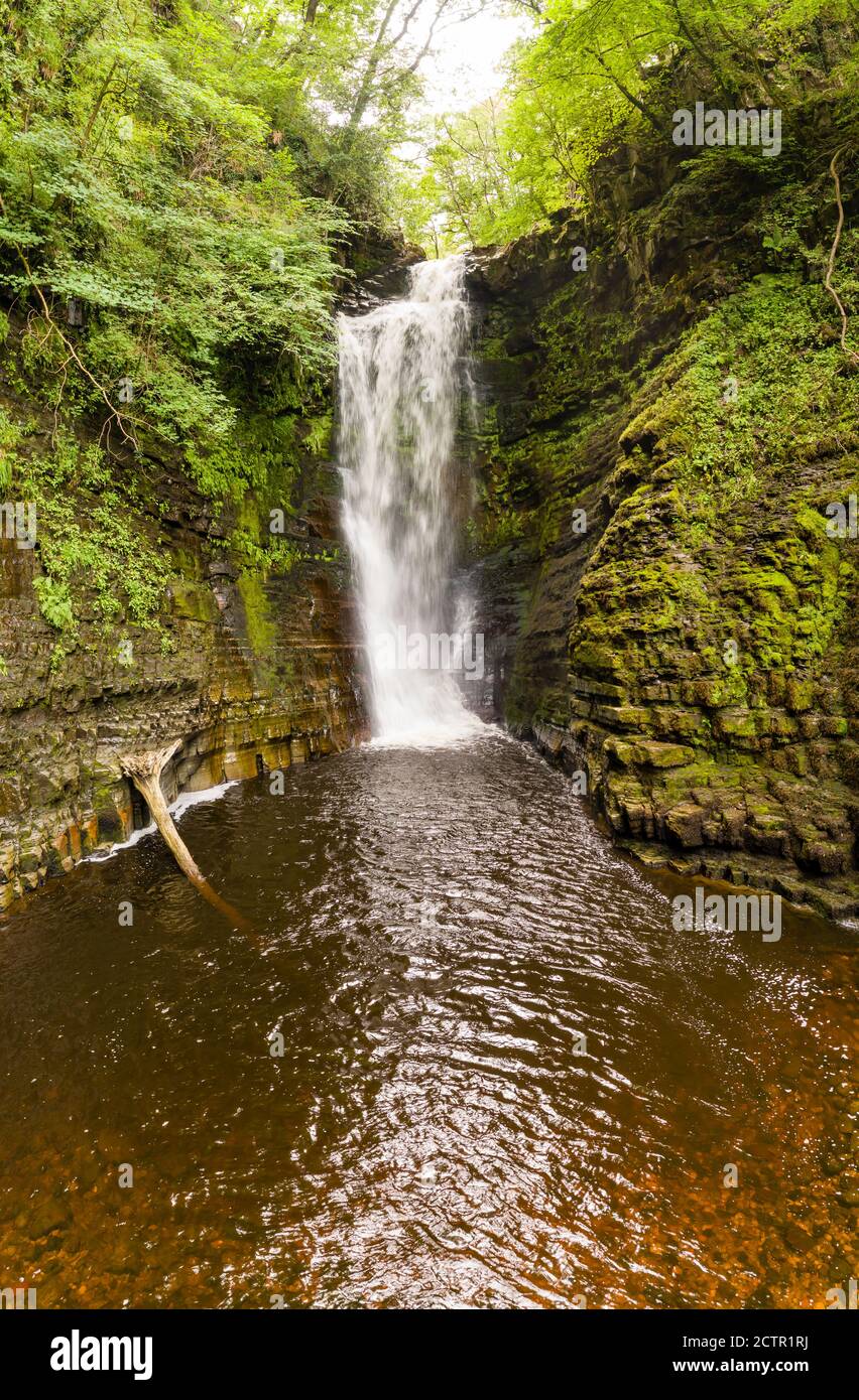Tall waterfall in a narrow canyon surrounded by green foliage (Sgwd ...