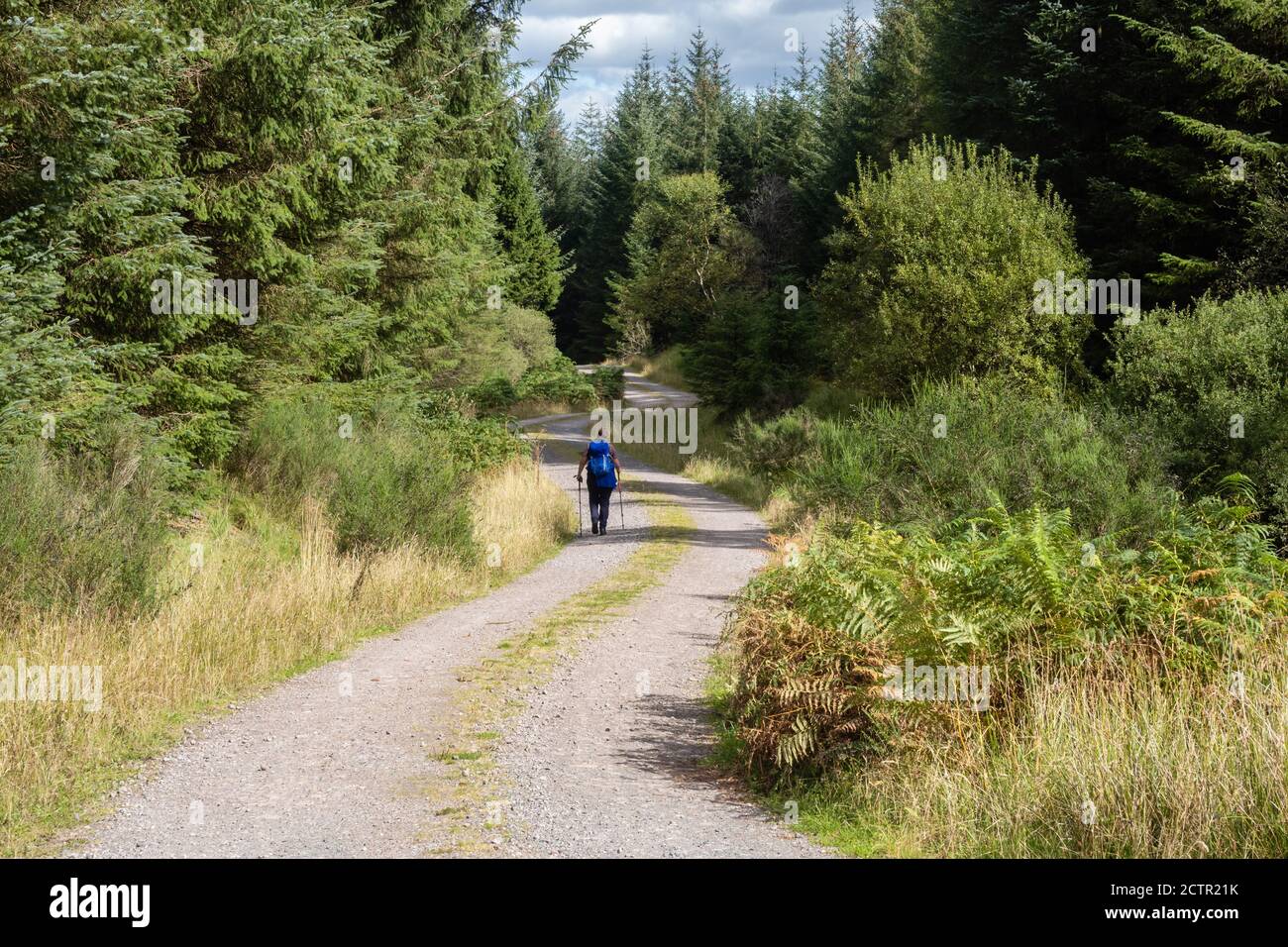 Rob roy way trossachs hi-res stock photography and images - Alamy
