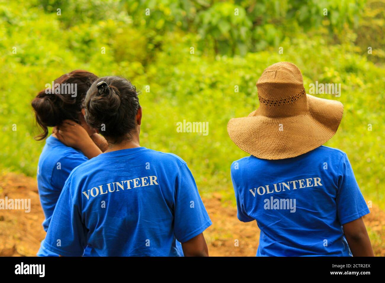 volunteer on volunteering activity Stock Photo - Alamy