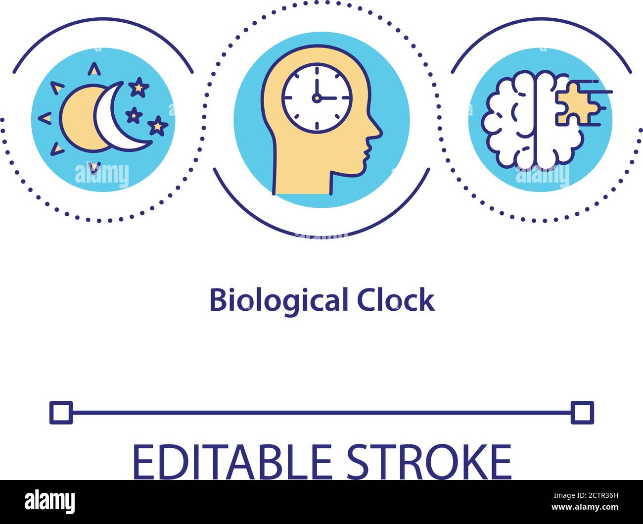 Biological clock concept icon Stock Vector Image & Art - Alamy