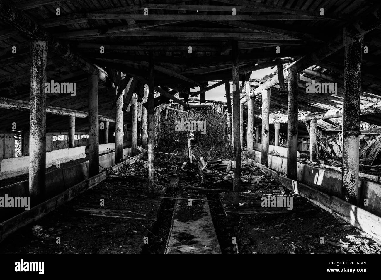 Destroyed farm hi-res stock photography and images - Alamy