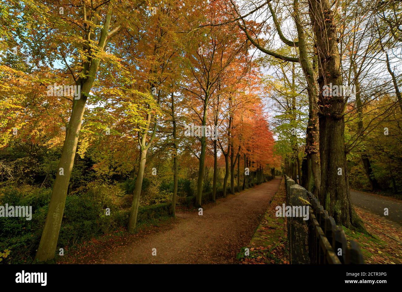 Environment path hi-res stock photography and images - Alamy
