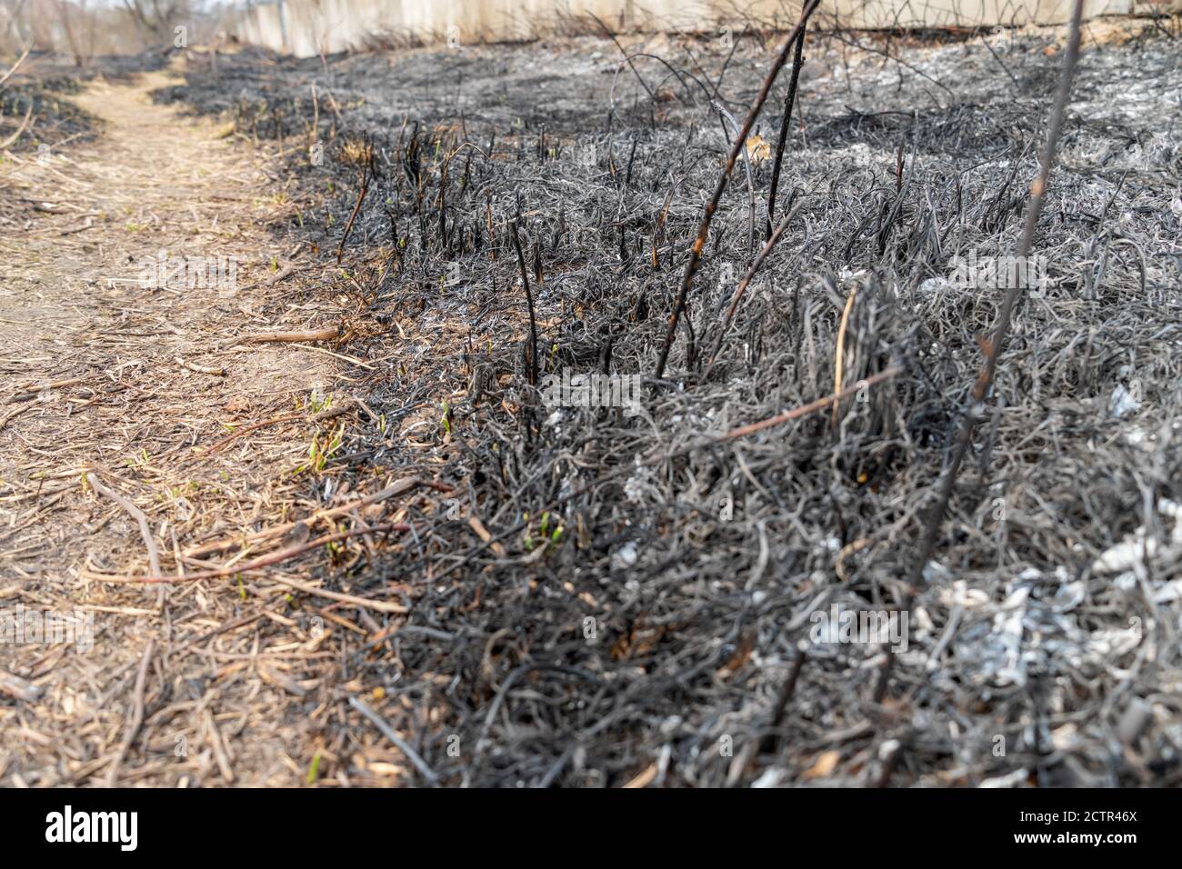 Small soil pathway in countryside hi-res stock photography and images ...