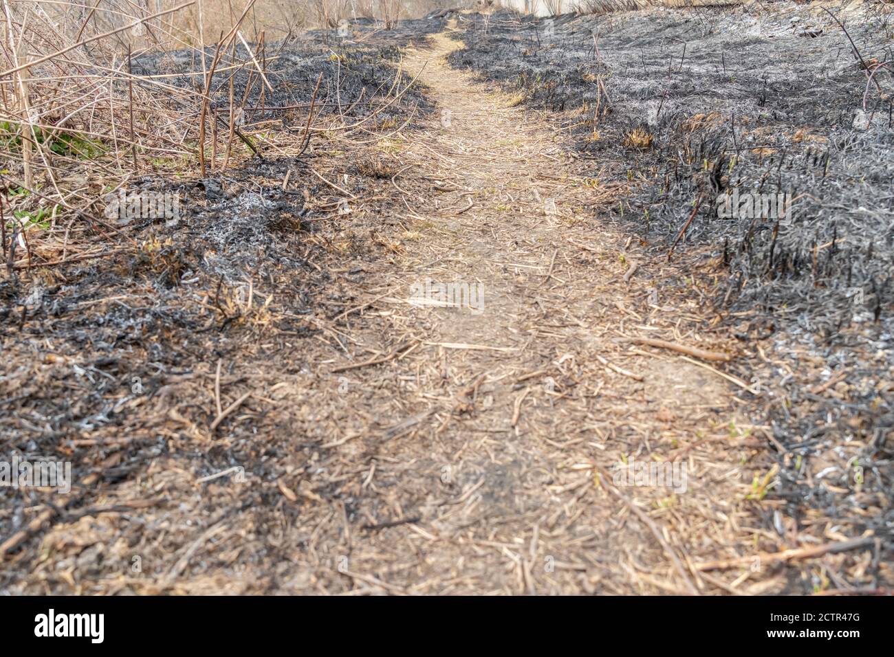 Small soil pathway in countryside hi-res stock photography and images ...