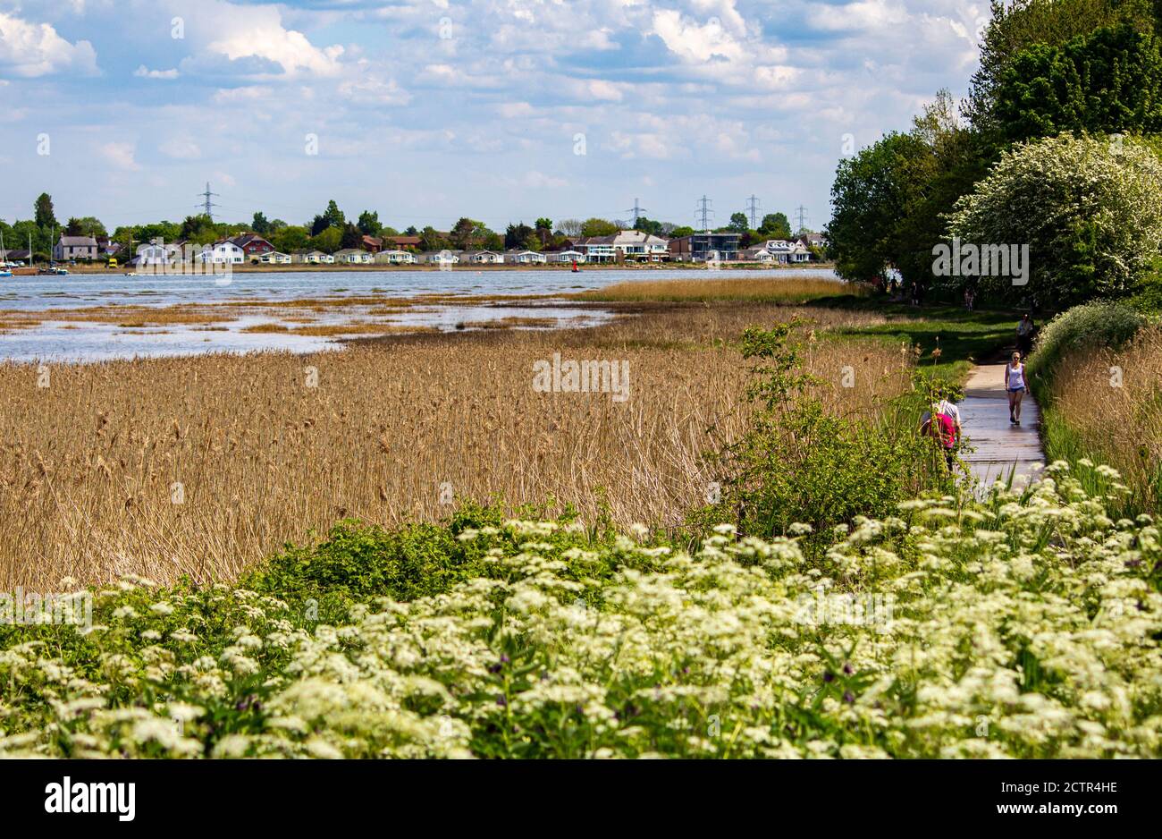 A peaceful walk along the river side Stock Photo - Alamy